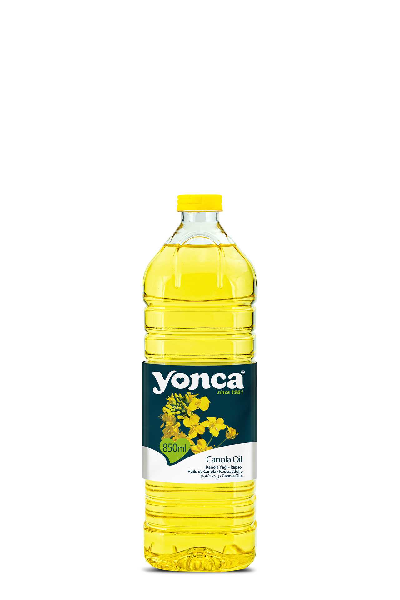 Canola Oil | Yonca Food